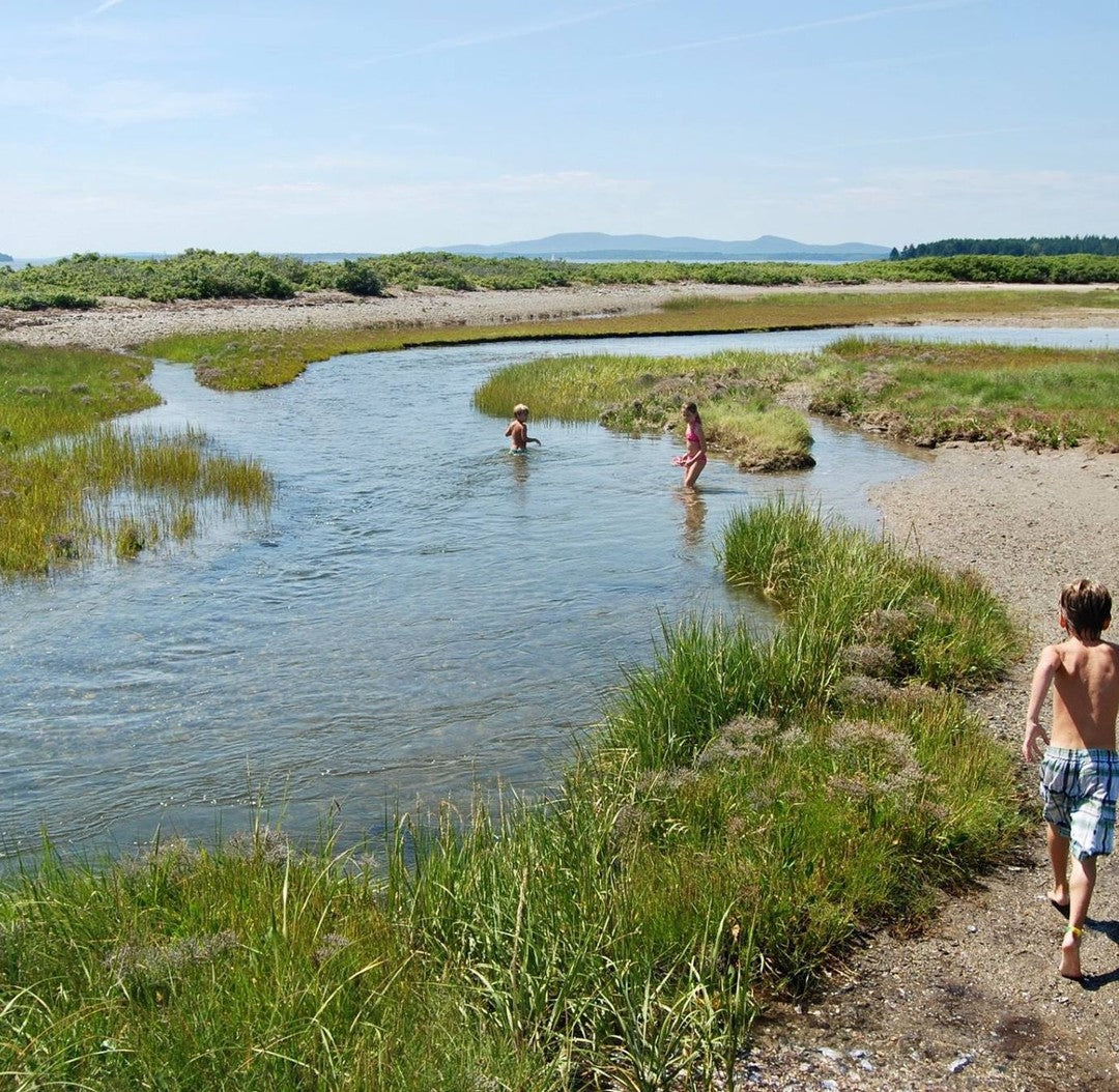 Maine Coast Heritage Trust Merch Store